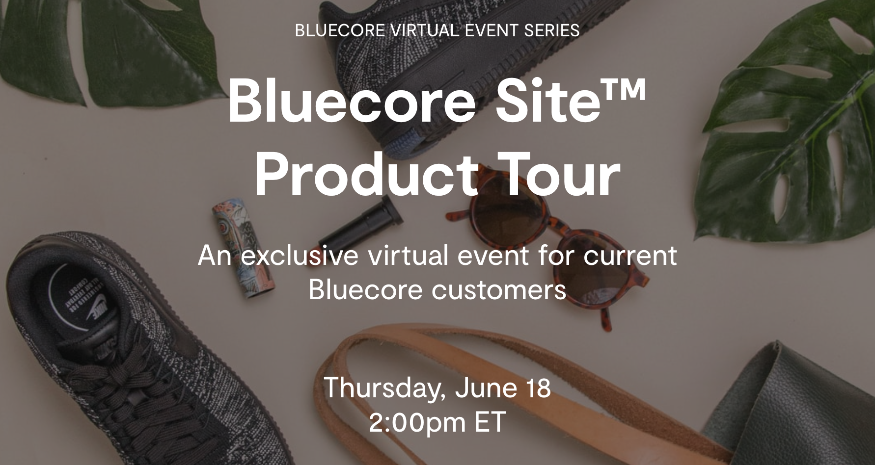 Bluecore Site™ Product Tour