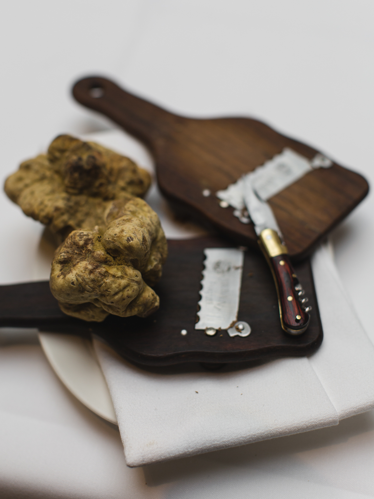 White Truffle Dinner - Splash