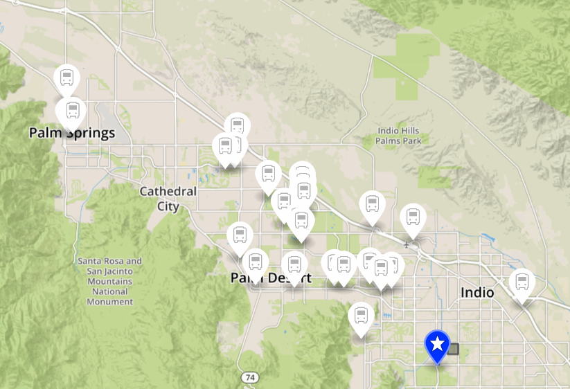 Coachella Festival Guide