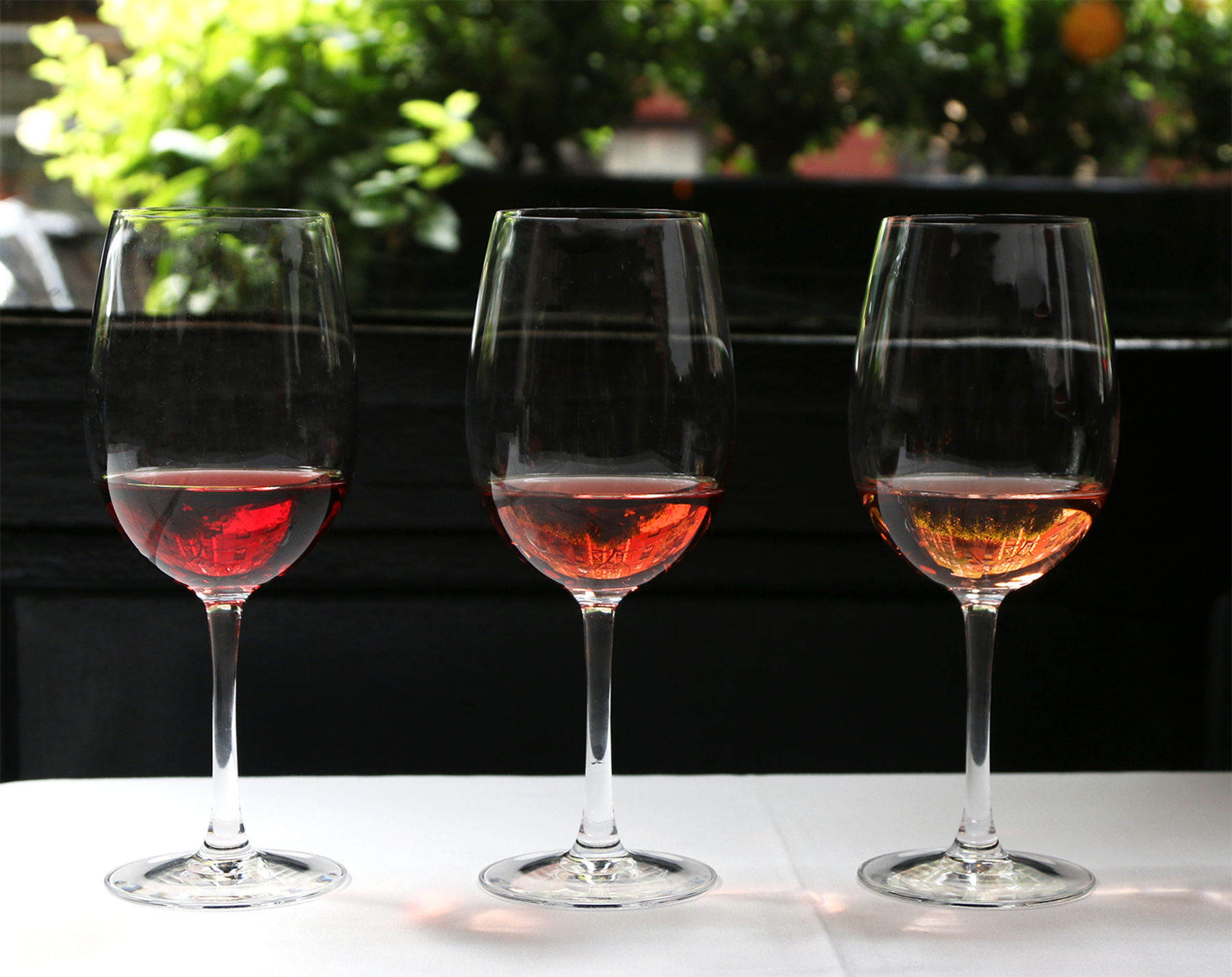 Rosato Wine Dinner - Splash
