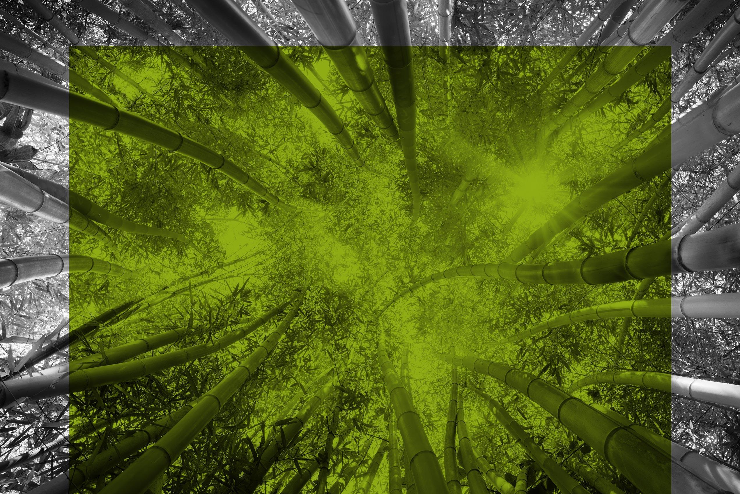 Juniper/Mist AI for IT Event