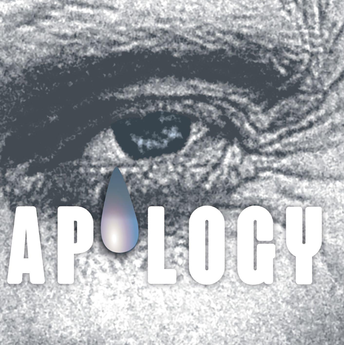 ONLINE | APOLOGY: Its Role in Social and Political Life