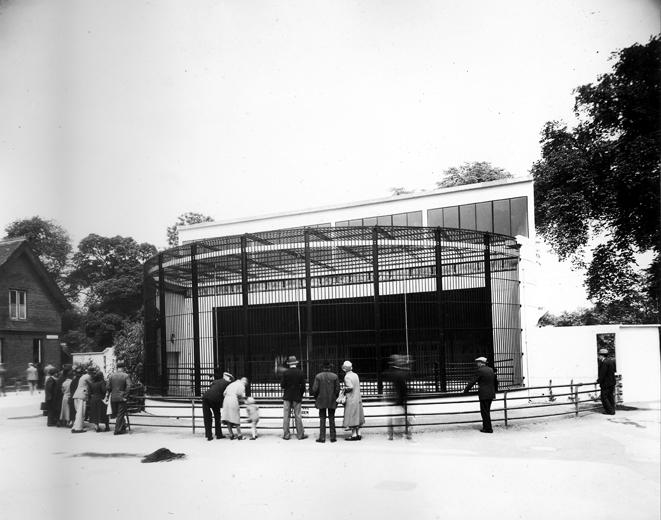 ONLINE | The Nature of the Beast: Tecton and the Gorilla House at the ...