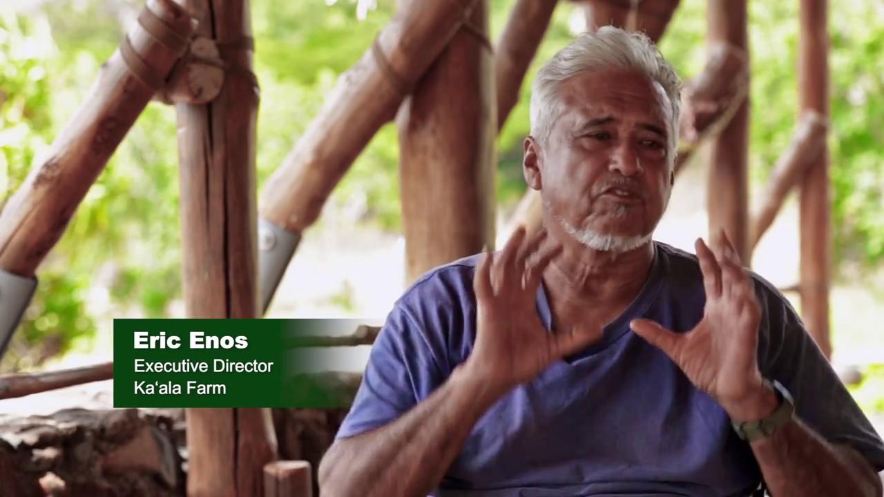 ONLINE | Earth Week: "The World We Need" Book Preview Launch