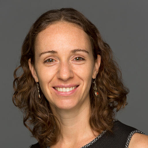 ONLINE | Meaningful Transformation of the Immigration Enforcement System