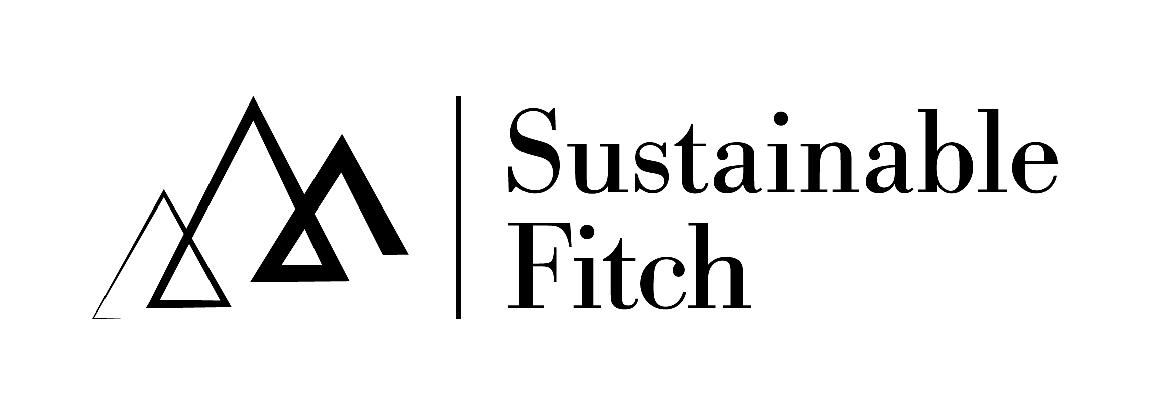 Introduction to ESG Ratings