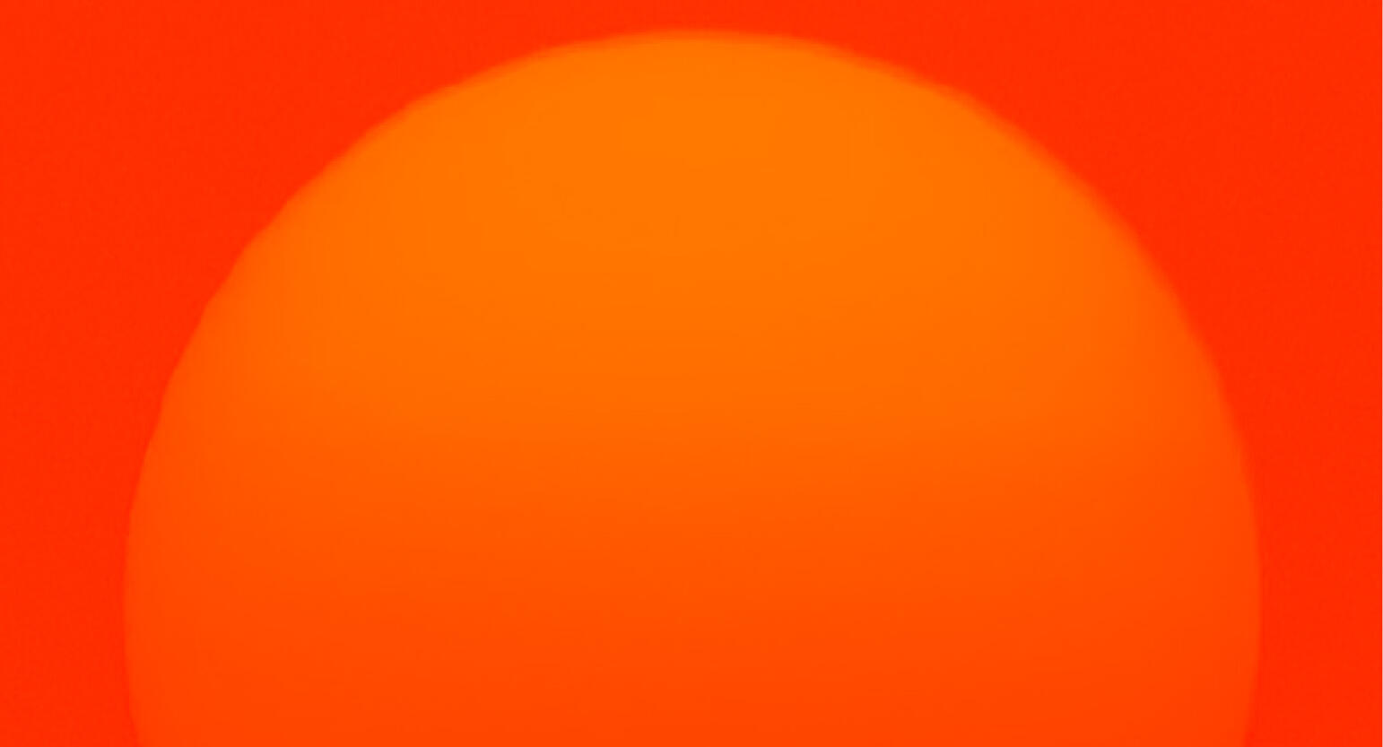 Elemental Live: Which Track is Right for You?