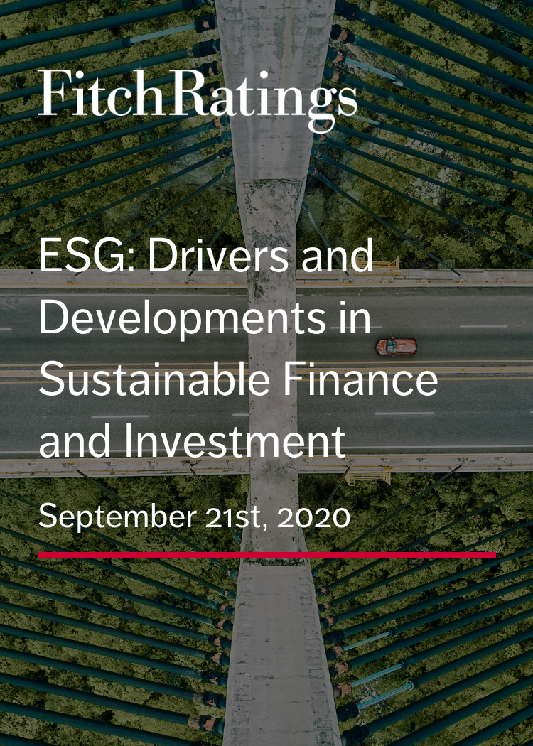 ESG: Drivers and Developments in Sustainable Finance and Investment