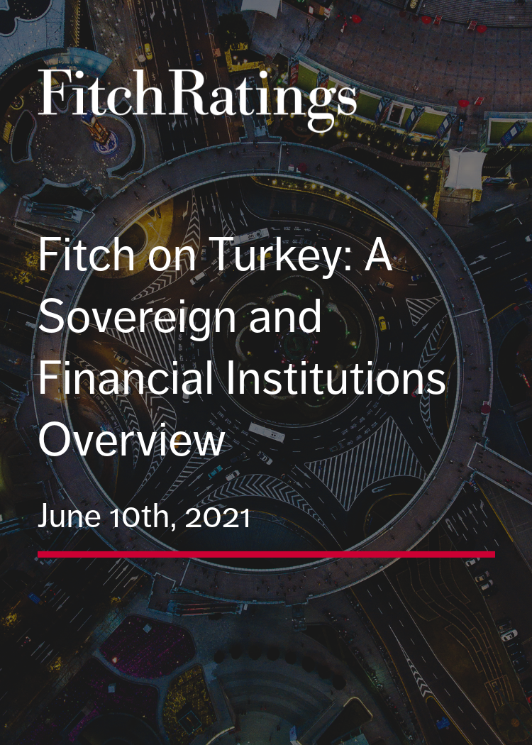 Fitch on Turkey: A Sovereign and Financial Institutions Overview