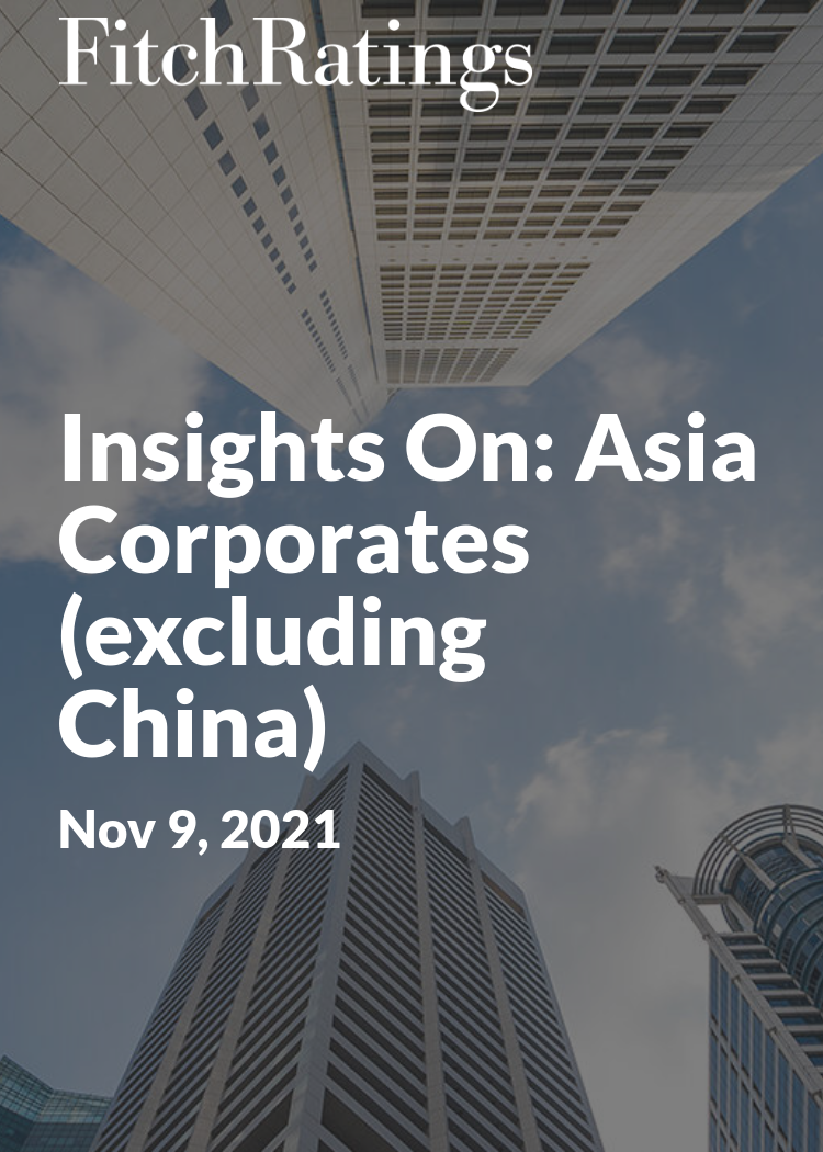 Insights On: Asia Corporates (excluding China)
