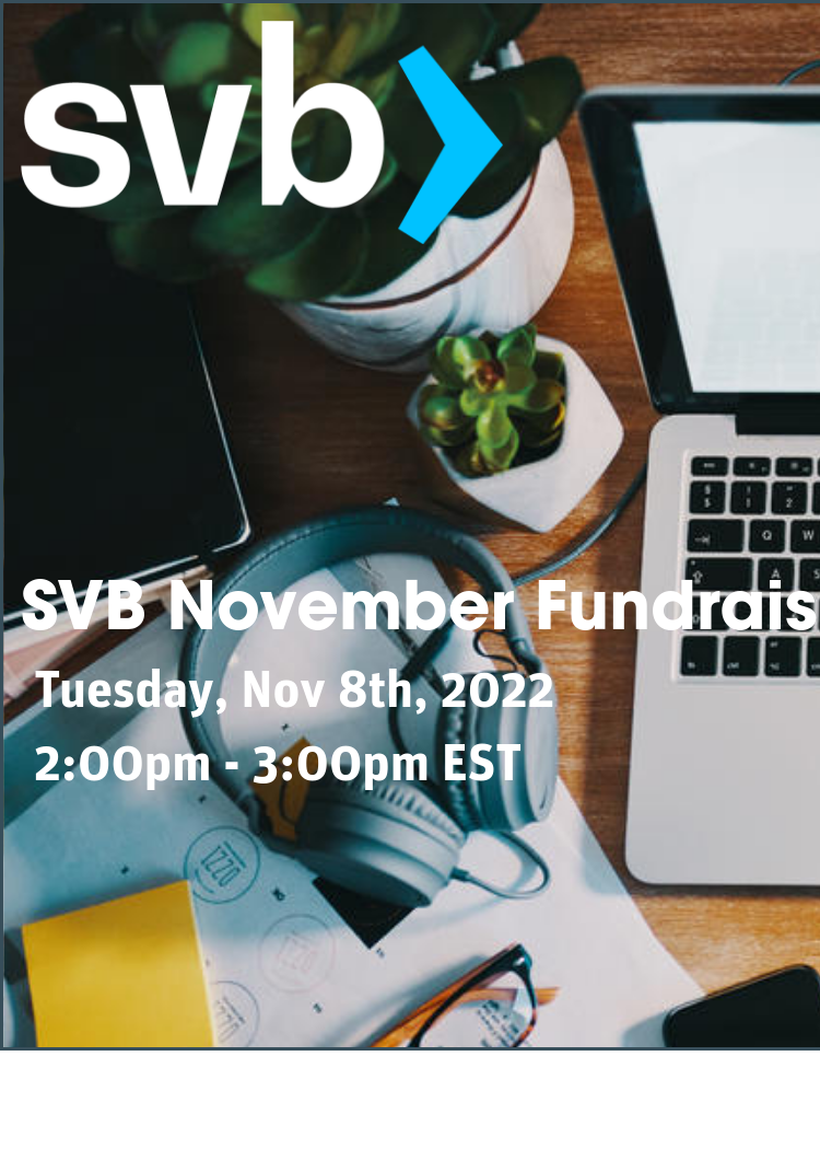 Hybrid SVB November Fundraising Workshop