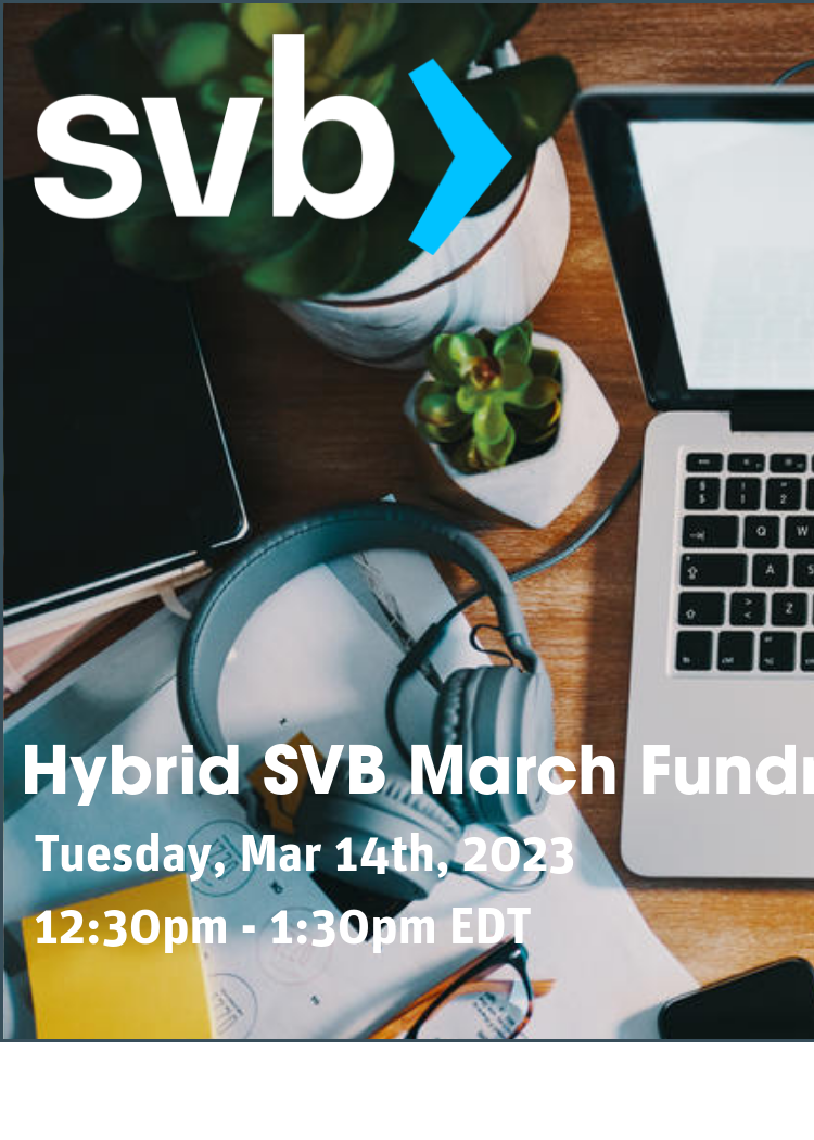 Hybrid SVB March Fundraising Workshop