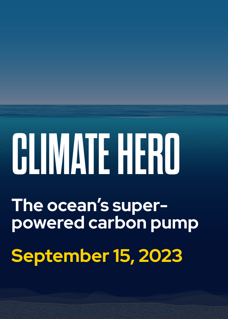 CLIMATE HERO