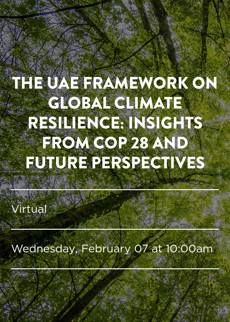 The UAE Framework on Global Climate Resilience: Insights from COP 28 ...