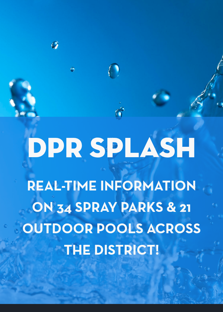 Real Time Information on DPR Outdoor Pools and Spray Parks