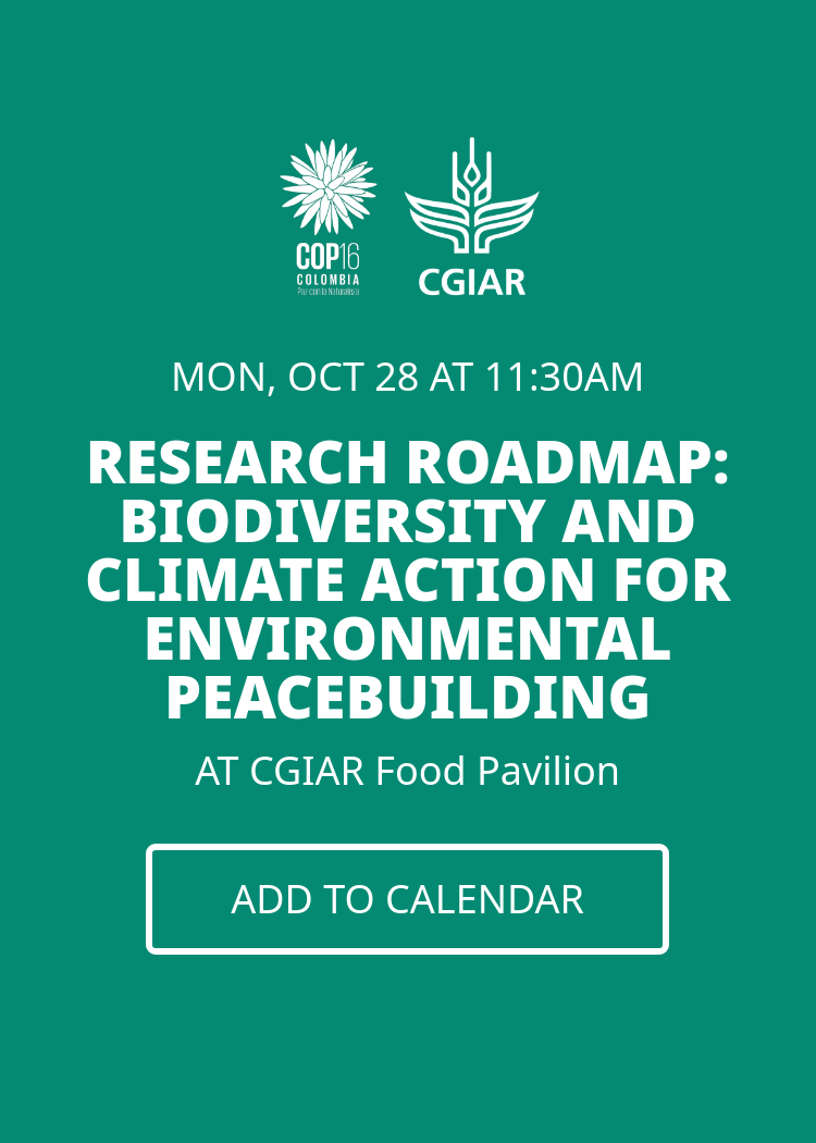 Research Roadmap: Biodiversity and Climate Action for Environmental ...