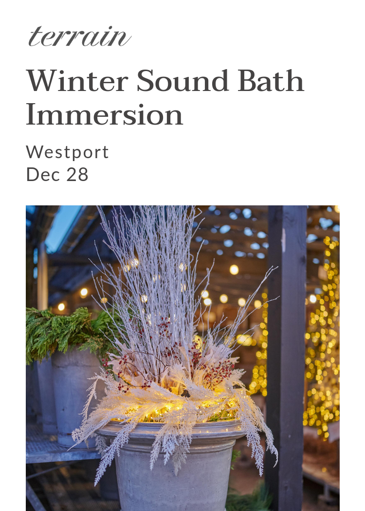 Winter Sound Bath Immersion