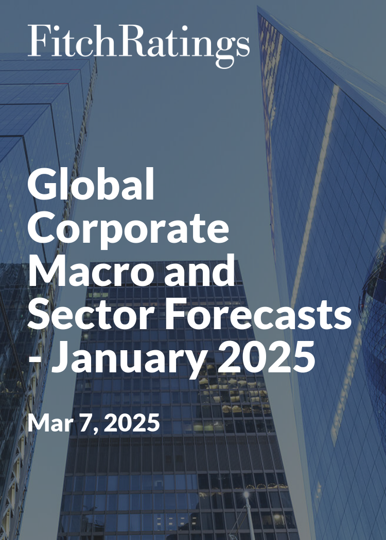 Global Corporate Macro and Sector Forecasts - January 2025