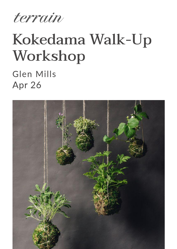 Kokedama Walk-Up Workshop