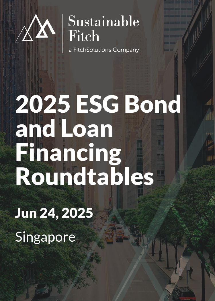 2025 ESG Bond and Loan Financing Roundtables