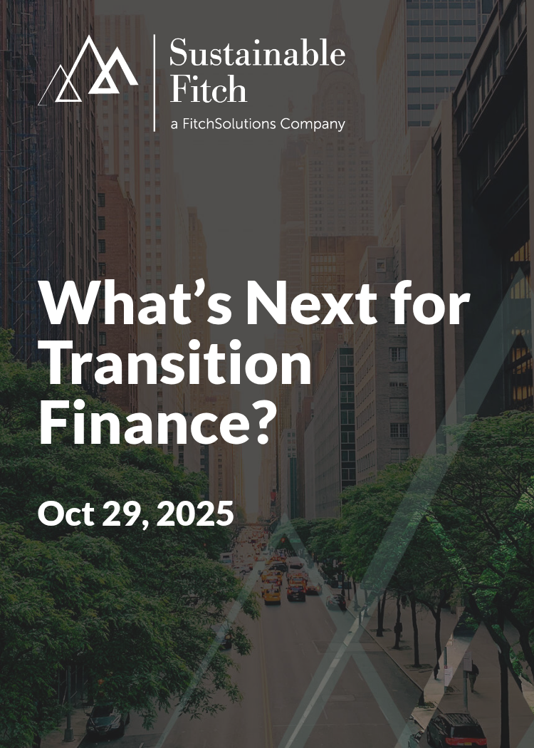 What’s Next for Transition Finance?