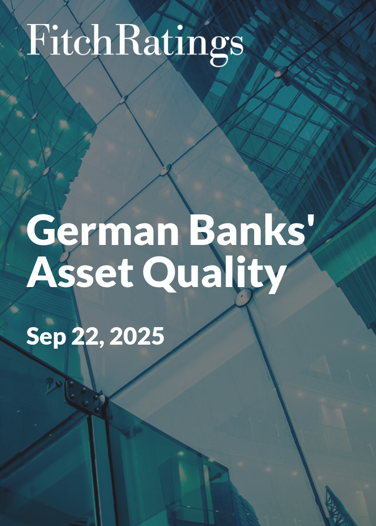 German Banks' Asset Quality